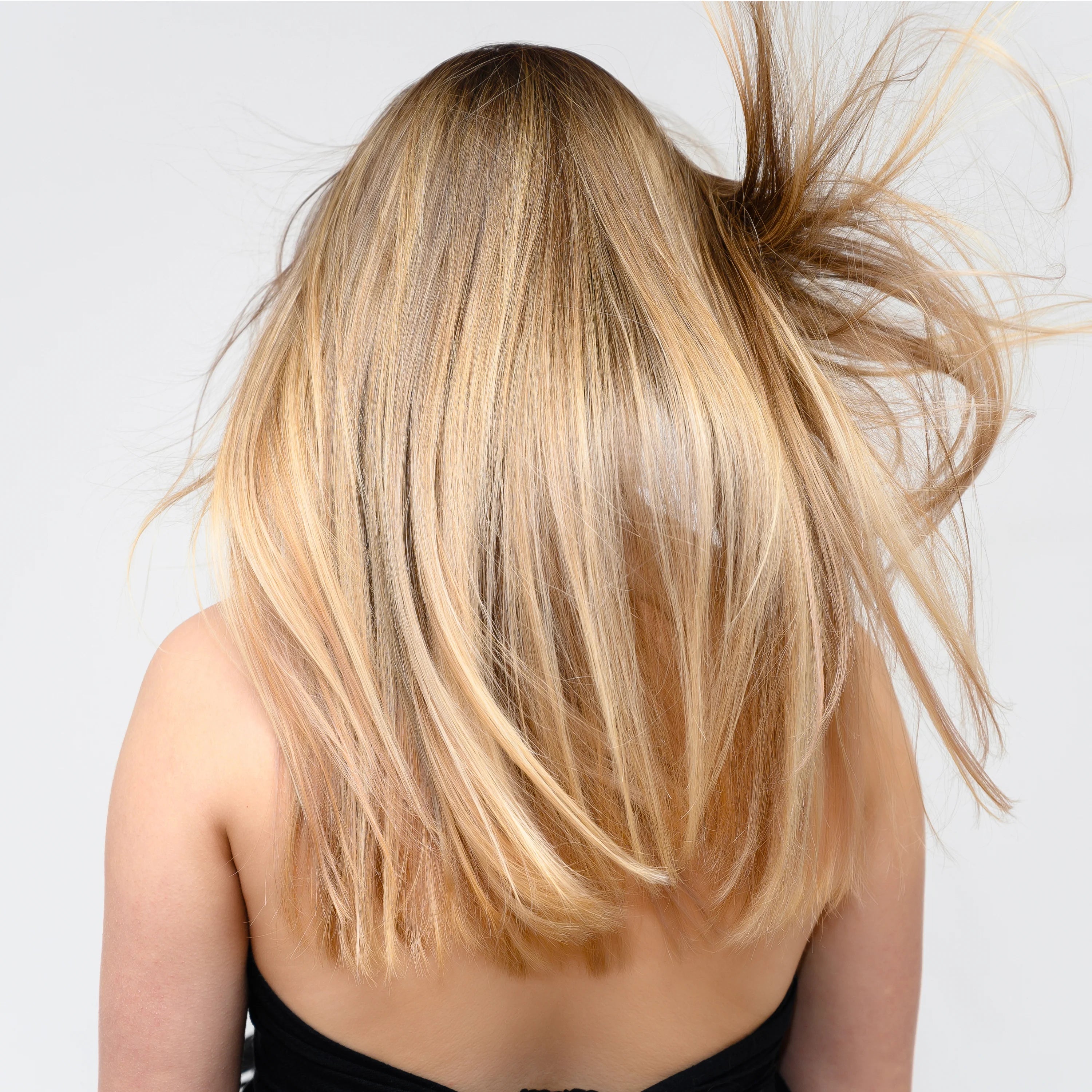 Pure Blends Blonde Collection – American Culture Brands Pro