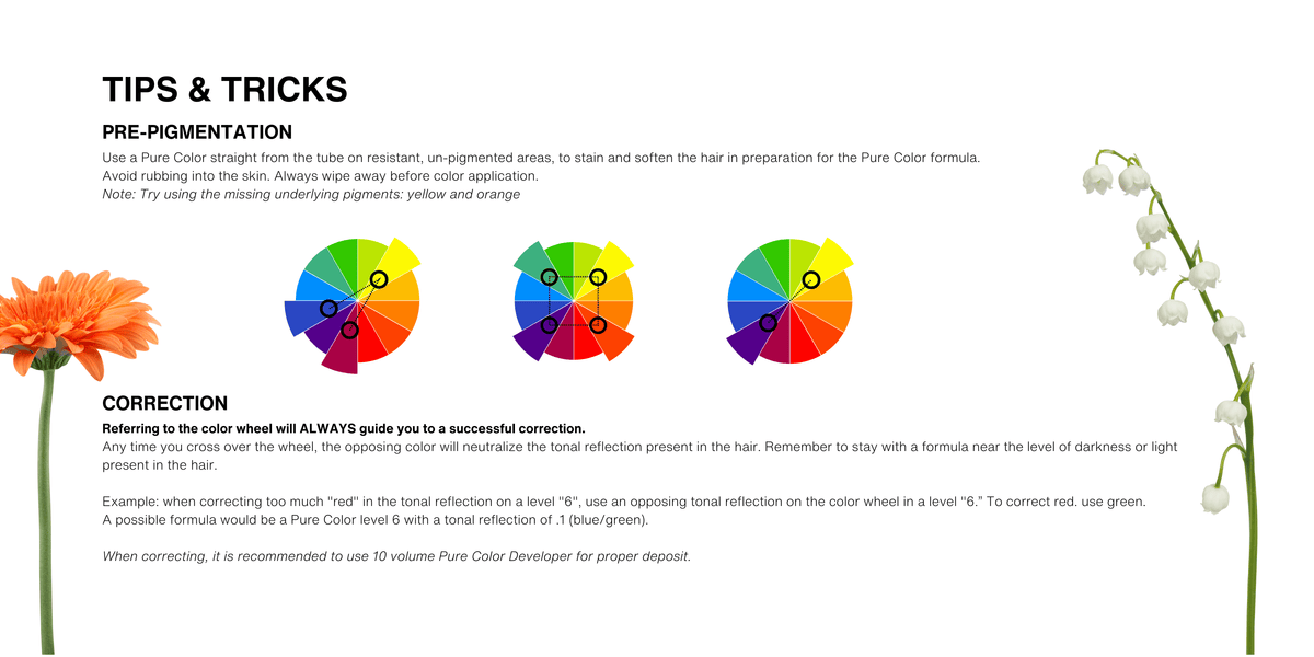 Pure Color Menu – American Culture Brands Pro